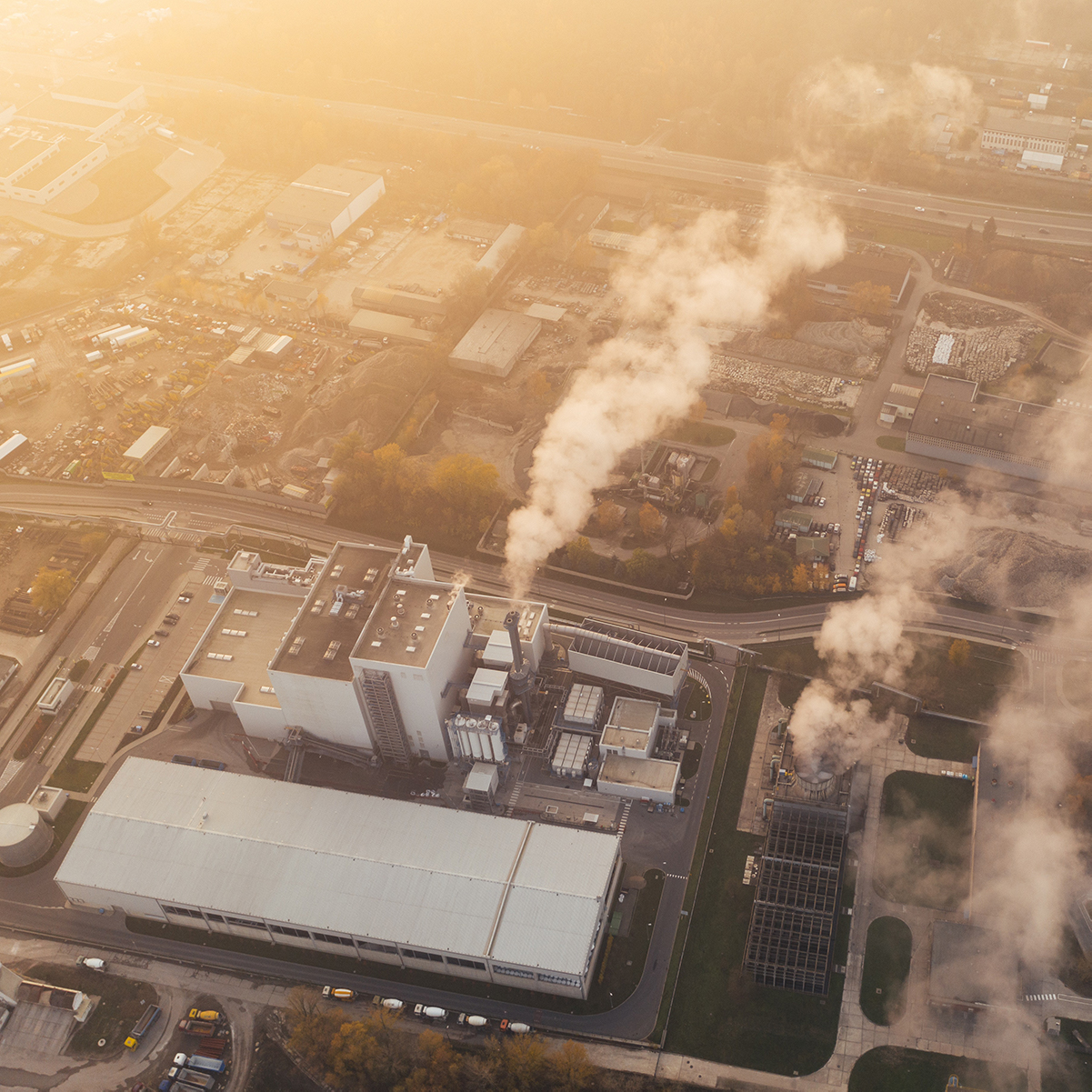 CPR Initiative’s Actions & Campaigns – CPR Initiative