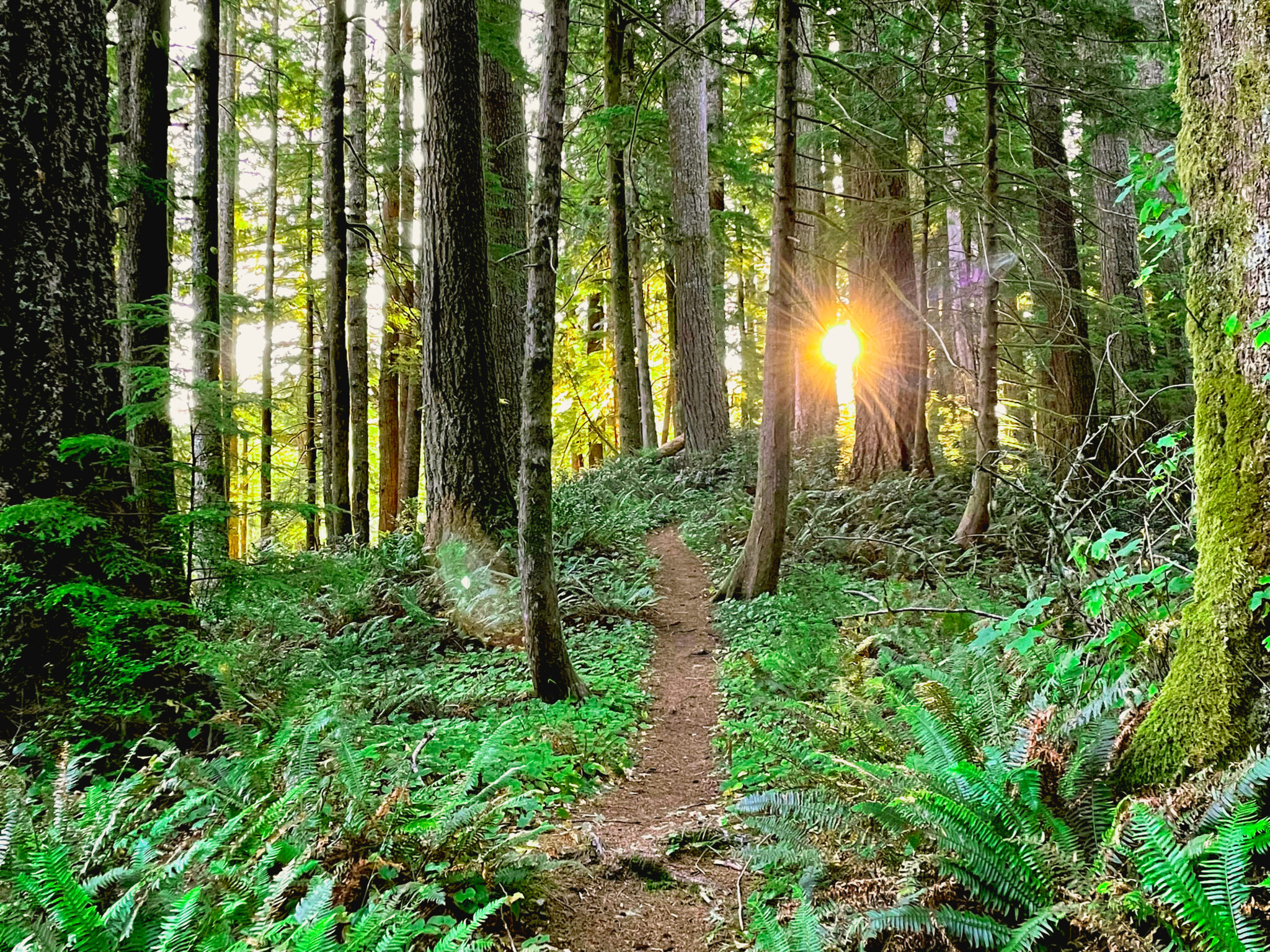 Our most critical work – CPR Initiative